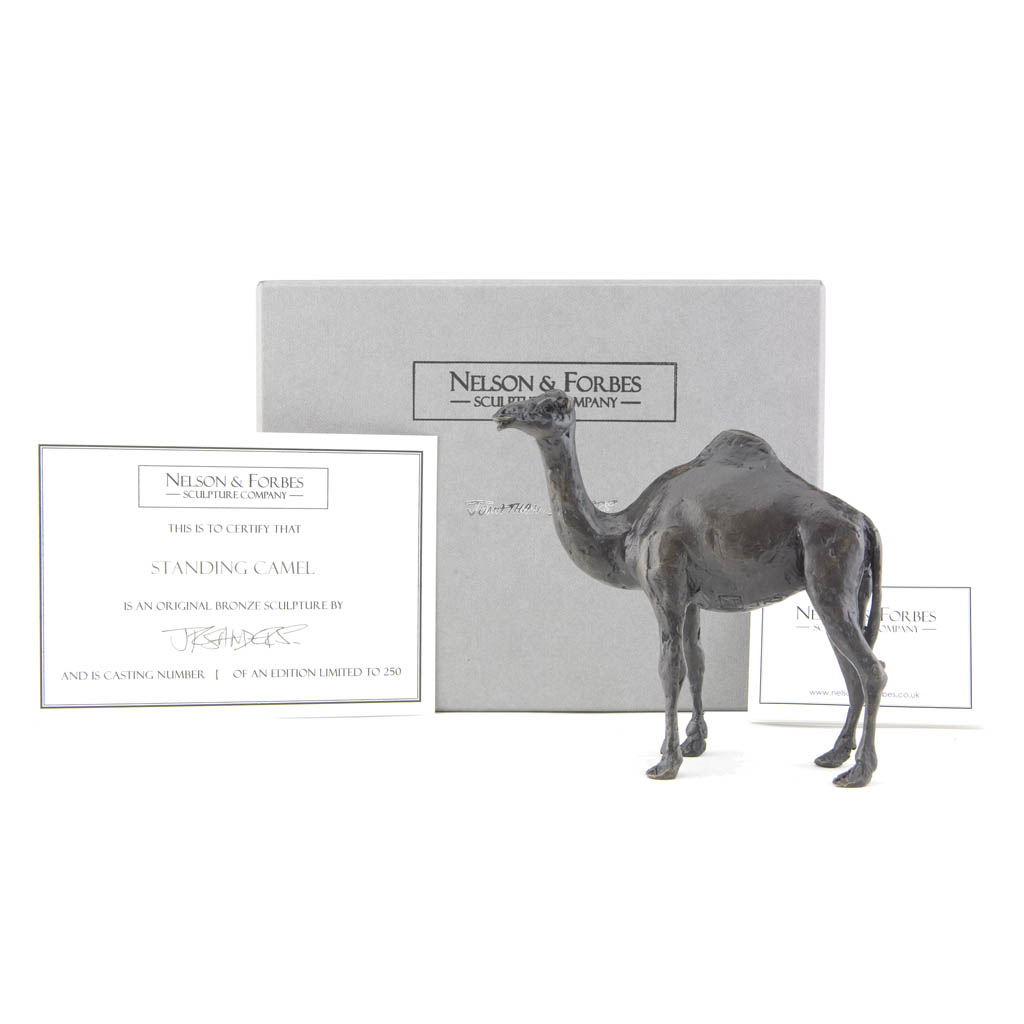 Bronze Camel Sculpture: Standing Camel by Jonathan Sanders